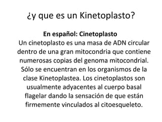 Parasitosis Intestinales | PPT