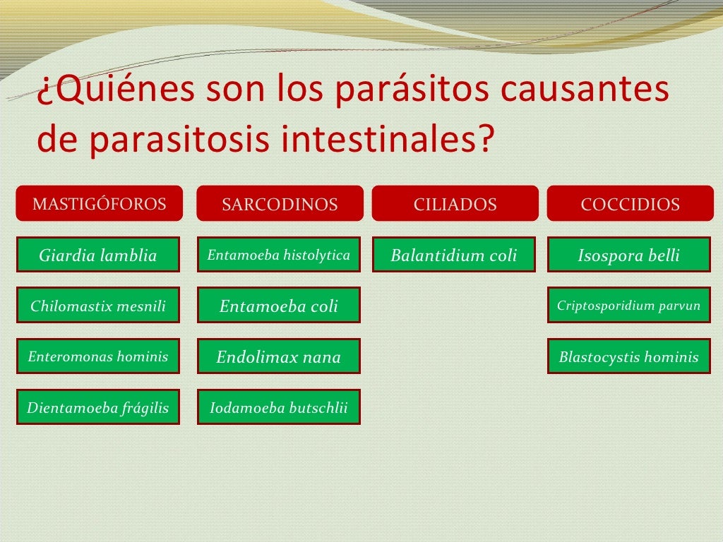 Parasitosis intestinal un problema medico social