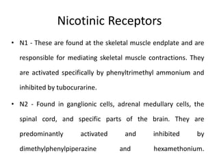 Presentation on Parasympathetic Nervous System | PDF