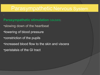 Parasympathetic Nervous System slides ppts | PPTX