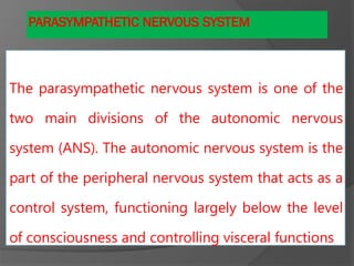 Parasympathetic Nervous System slides ppts | PPTX