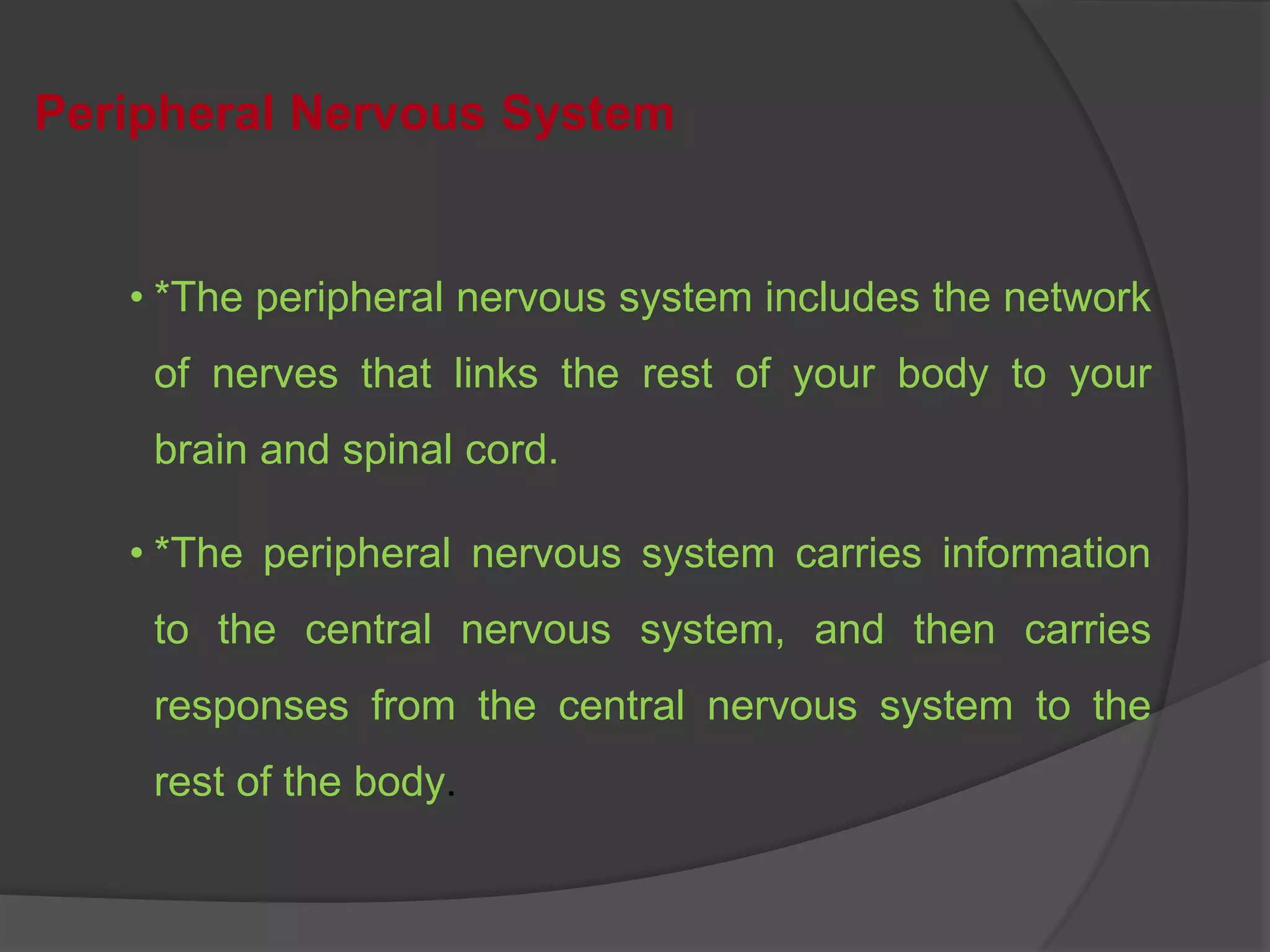 Parasympathetic nervous system | PPTX