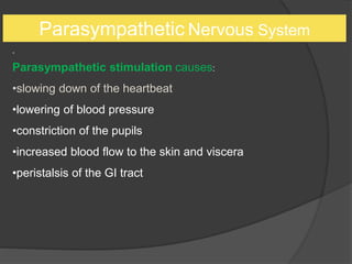 Parasympathetic nervous system | PPTX