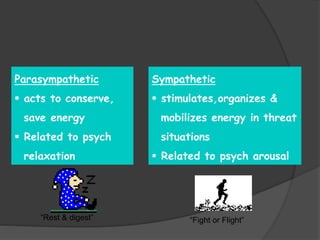 Parasympathetic nervous system | PPTX