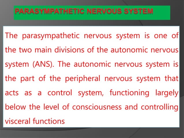 Parasympathetic nervous system | PPTX | Brain and Nervous System ...