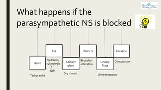 Parasympathetic Nervous System | PPTX