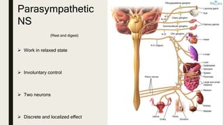 Parasympathetic Nervous System | PPTX