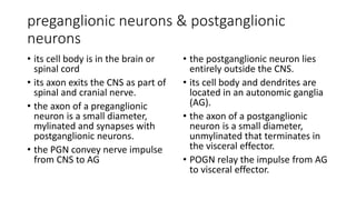 parasympathetic unit IV.pptx | Brain and Nervous System Disorders ...