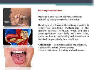 Parasympatholytic drugs | PPTX