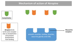 Parasympatholytics | PPTX