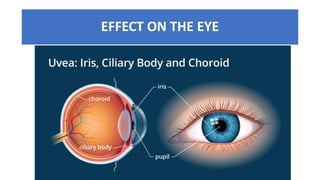 Parasympatholytics | PPTX