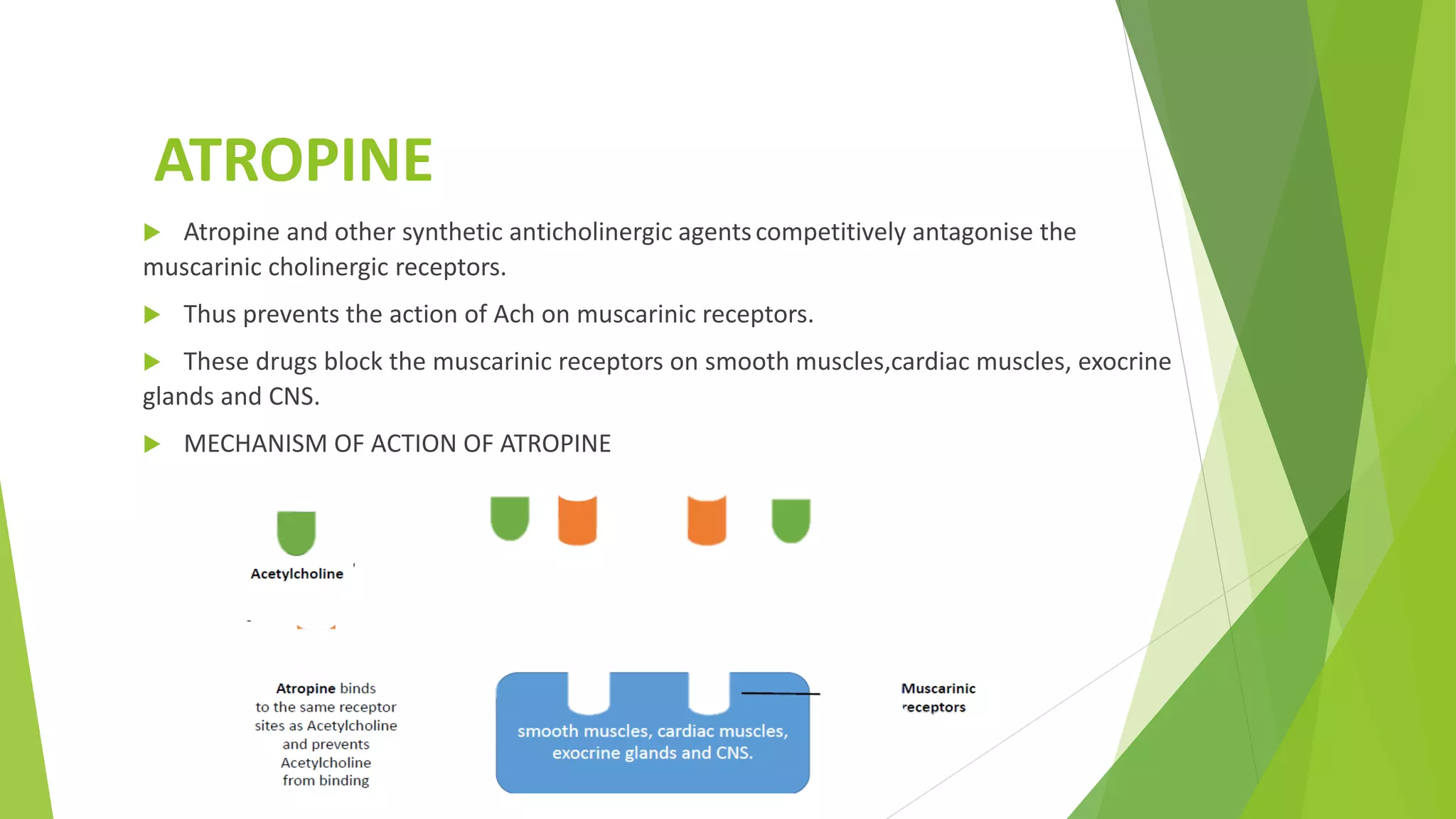 Parasympatholytics.pptx