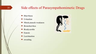 Parasympathomimetic and Parasympatholytic.pptx