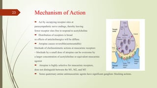 Parasympathomimetic and Parasympatholytic.pptx