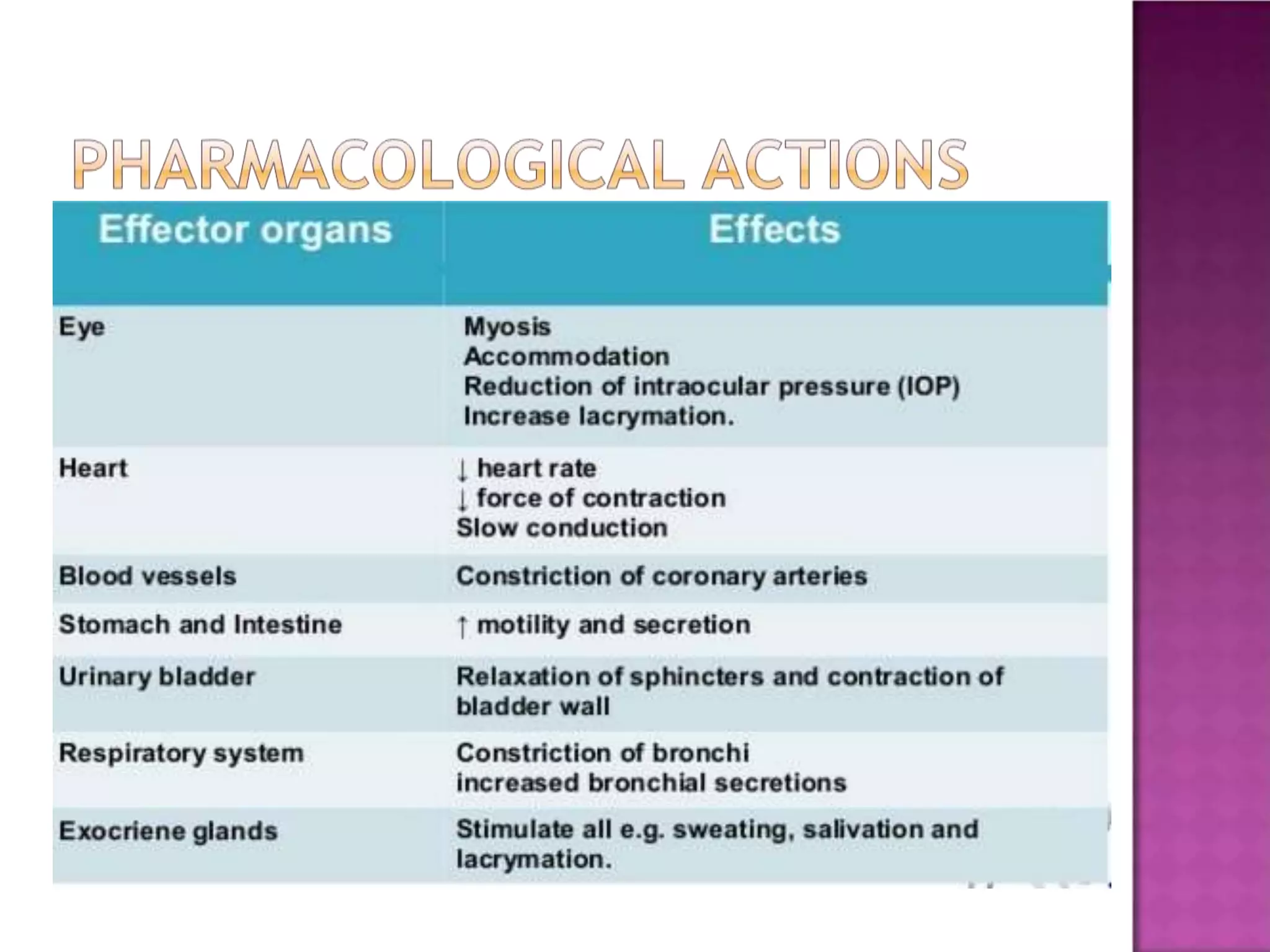 PARASYMPATHOMIMETIC DRUGS Classification and SAR.pptx