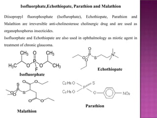 PARASYMPATHOMIMETIC DRUGS (Lecture 3).pdf