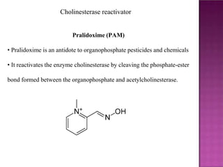 PARASYMPATHOMIMETIC DRUGS (Lecture 3).pdf