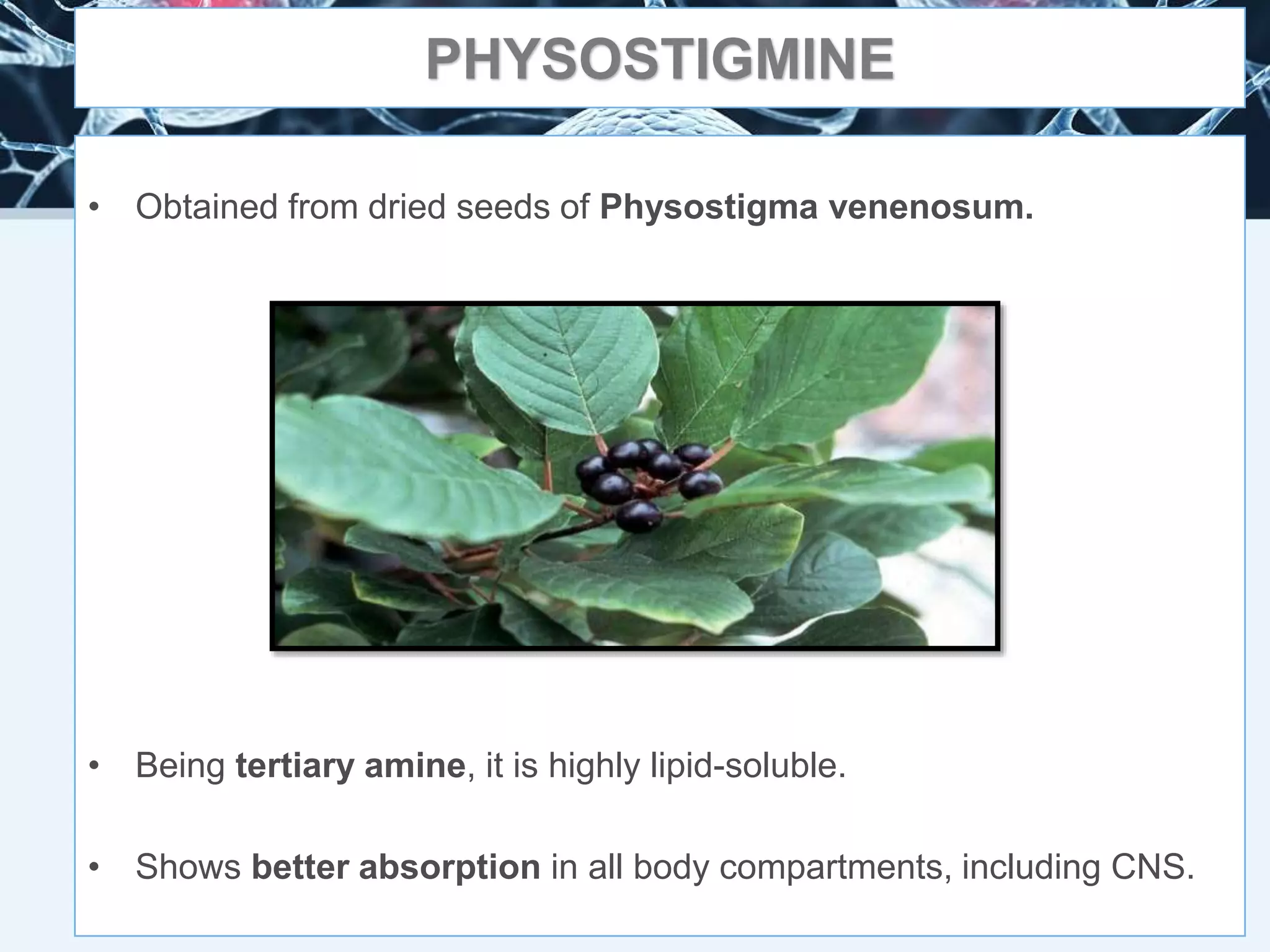 Parasympathomimetics | PPTX