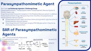 Parasympathomimetics Agent {Cholinergic Drug} | PPTX