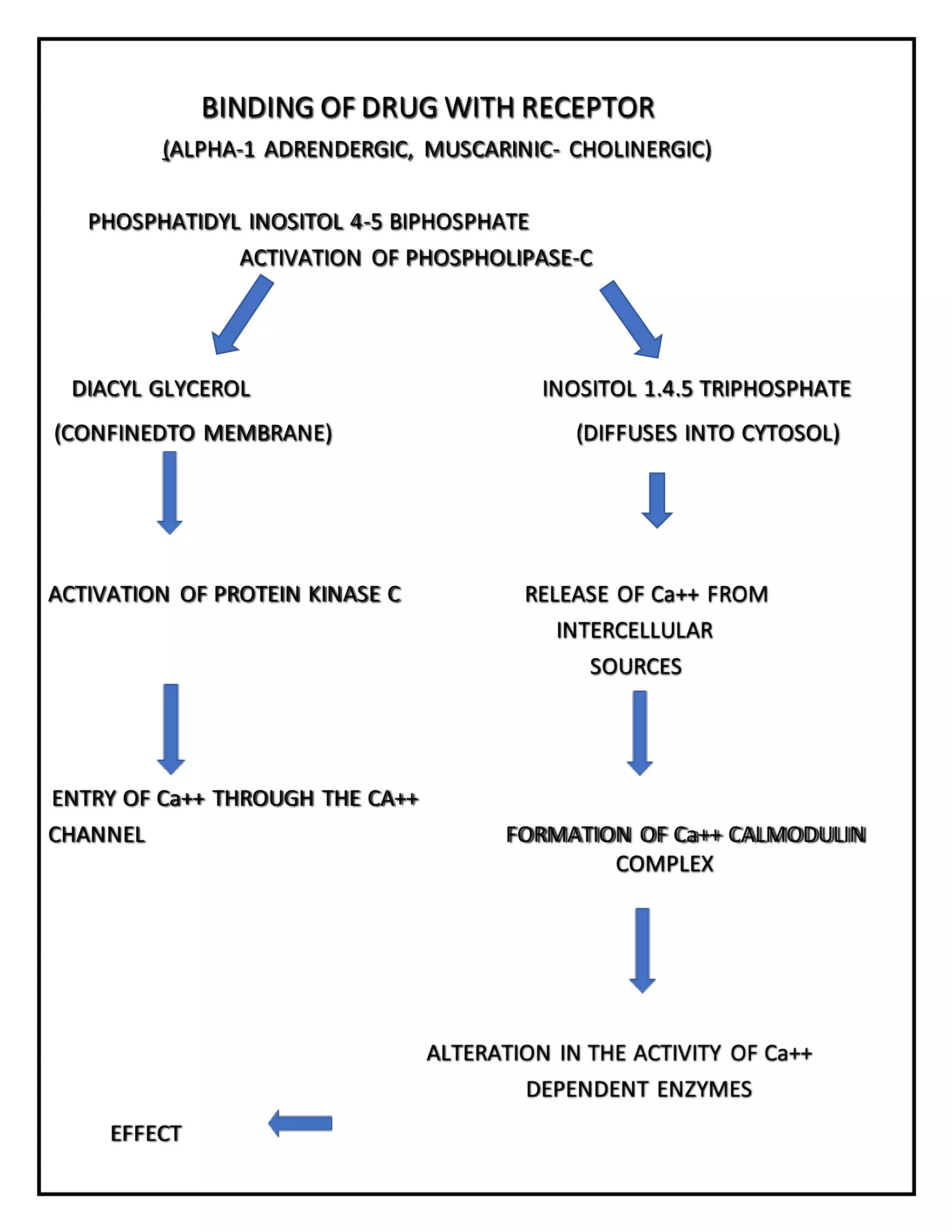 Parasympathomimetics and parasympatholytics Pharmacology. | DOCX