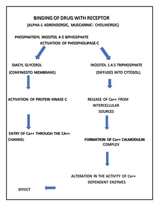 Parasympathomimetics and parasympatholytics Pharmacology. | DOCX