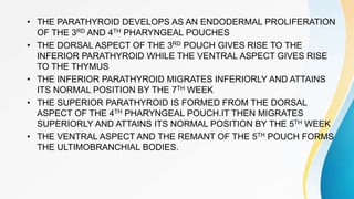 Parathyroid | PPTX