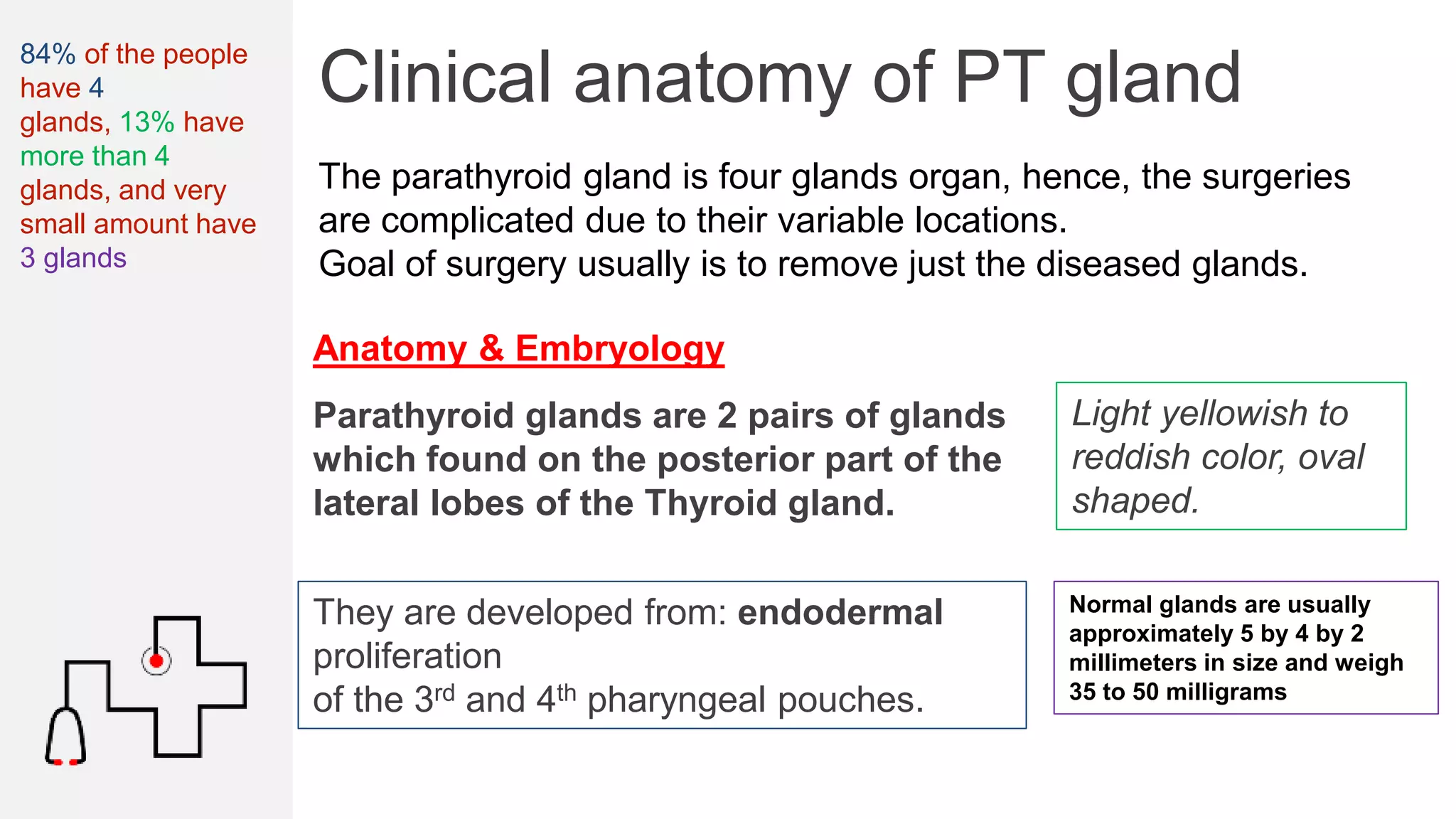 Parathyroid | PPTX