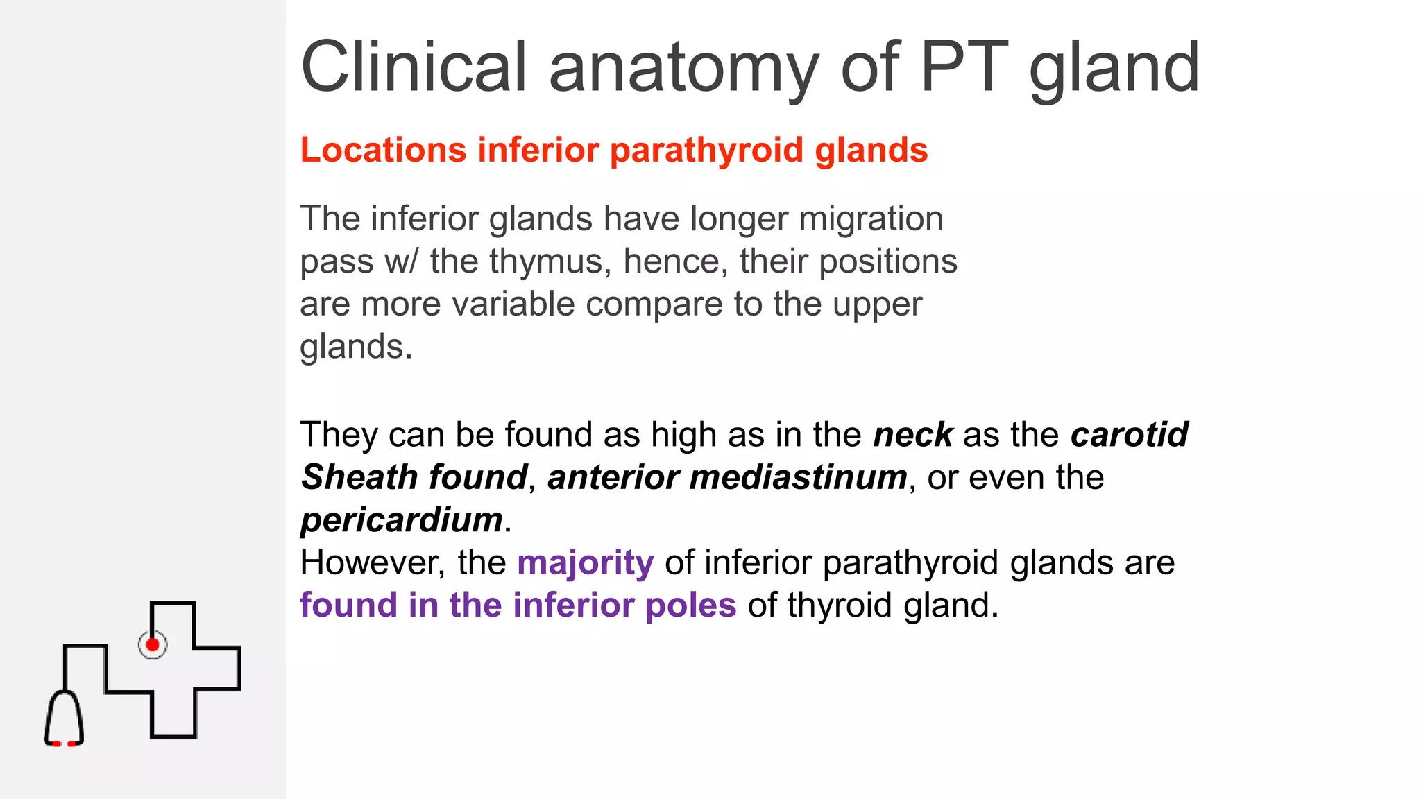 Parathyroid | PPTX