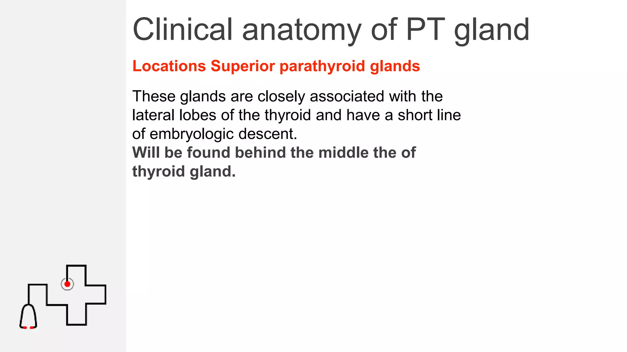 Parathyroid | PPTX