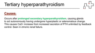 Parathyroid | PPTX