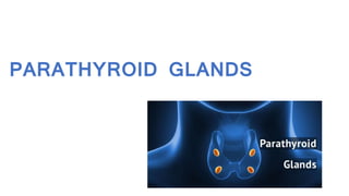 Parathyroid Gland and its Disorders | PPTX