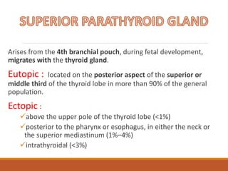 Parathyroid.pptx