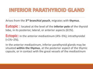 Parathyroid.pptx