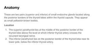 PARATHYROID by Dr Nimish MCD HOSPITAL.pptx