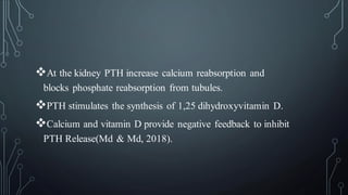 Parathyroid abnormalities.pdf