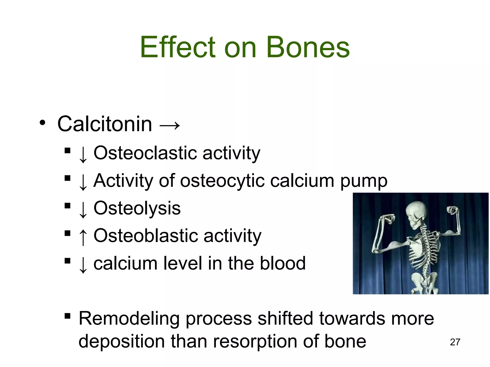 Parathyroid and Calcitonin Physiology | PPT