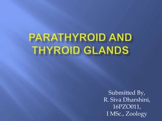 Ppt Parathyroid Gland Powerpoint Presentation Id2108885