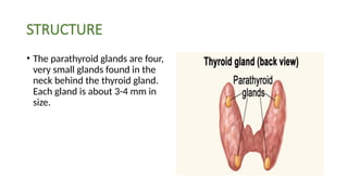 parathyroid disorders diagnosis in children .pptx