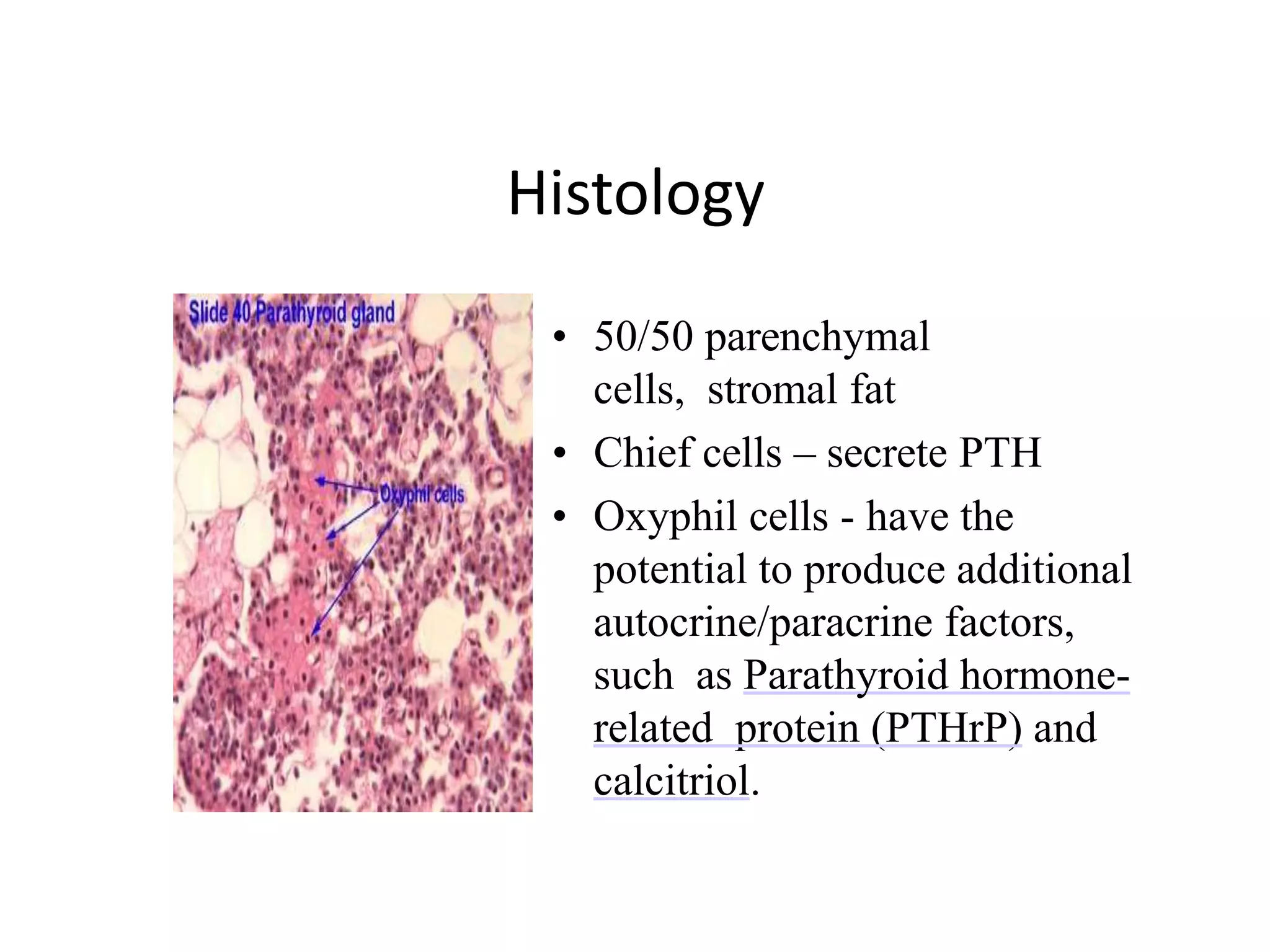 Parathyroid disorders - Etiopathogenesis, Clinical features, Advances ...