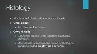 Parathyroid gland | PPTX