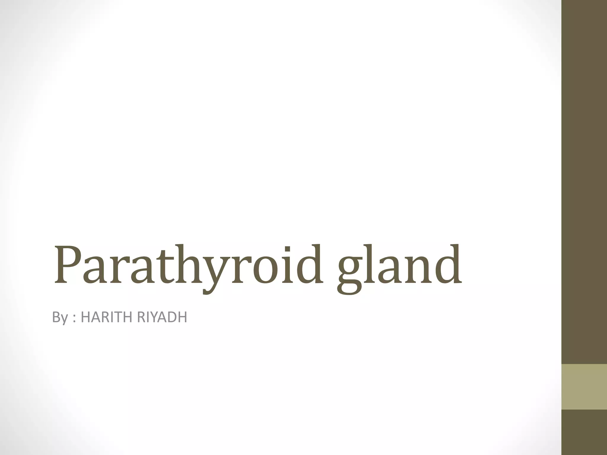 Parathyroid Gland Endocrine System Anatomy Pptx Thyroid Disorders Endocrine And Metabolic