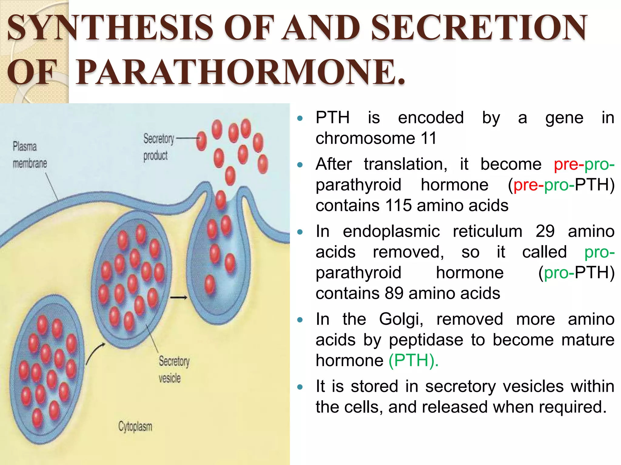 Parathyroid gland | PPTX