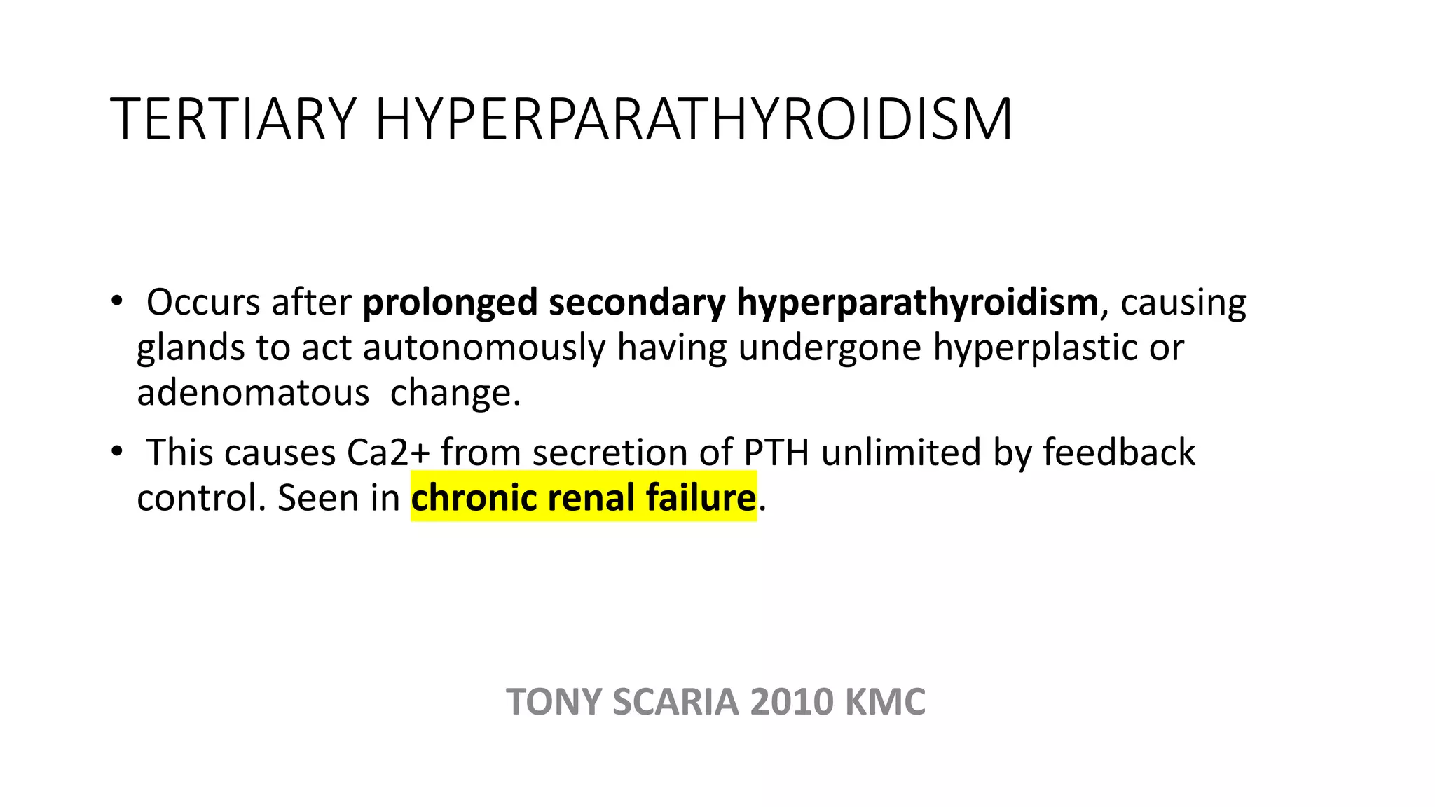 Parathyroid gland REVISION NOTES | PDF