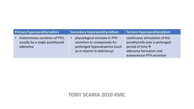 Parathyroid gland REVISION NOTES | PDF | Endocrine and Metabolic ...
