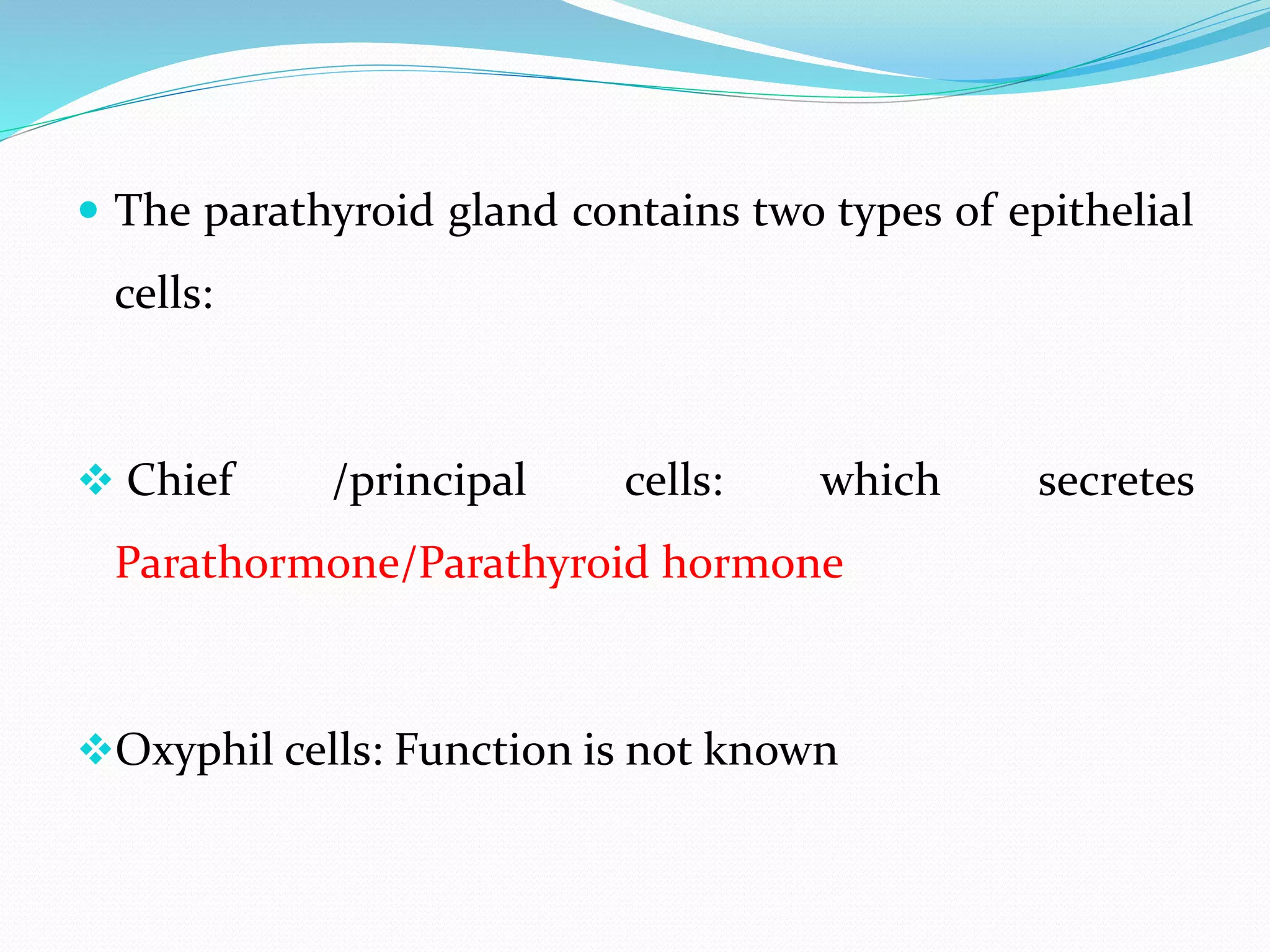 Parathyroid gland | PPTX