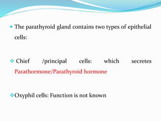 Parathyroid gland | PPTX