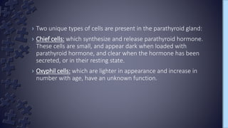 Parathyroid gland | PPTX