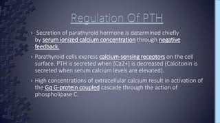 Parathyroid gland | PPTX