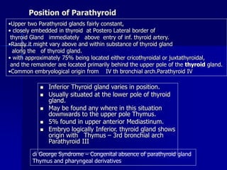 Parathyroid gland | PPT