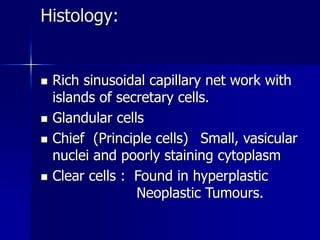 Parathyroid gland | PPT